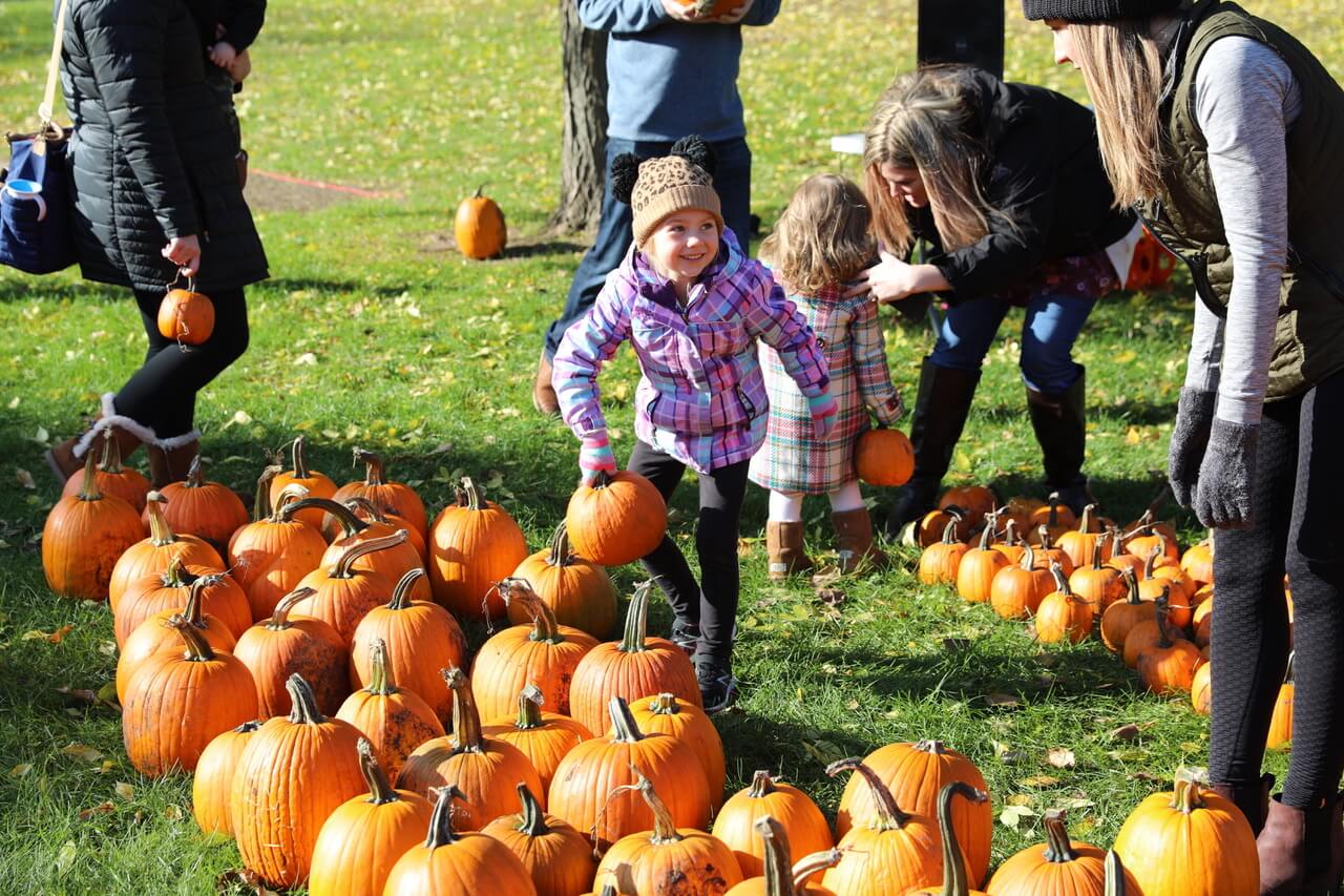 Spooktacular Fun on a Budget: 7 Cheap (or free!) Ways to Celebrate Halloween in Richfield ...